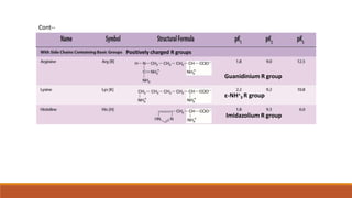 Structures of Amino Acids | PPTX