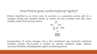 Structures of Amino Acids | PPTX
