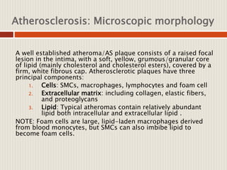 CVS pathology 2- atherosclerosis 2019, sufia husain | PPTX