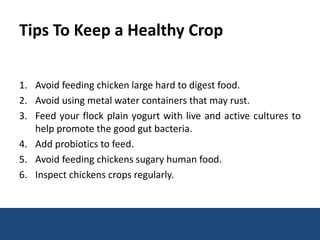 Avian Crop Affections | PPT