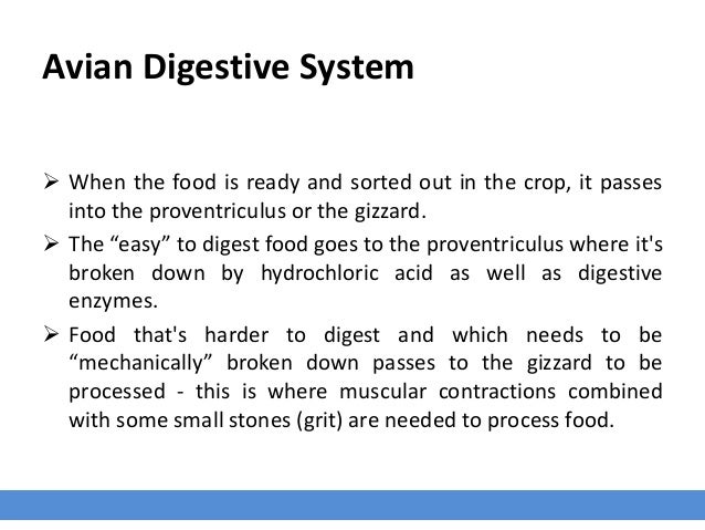 Avian Crop Affections