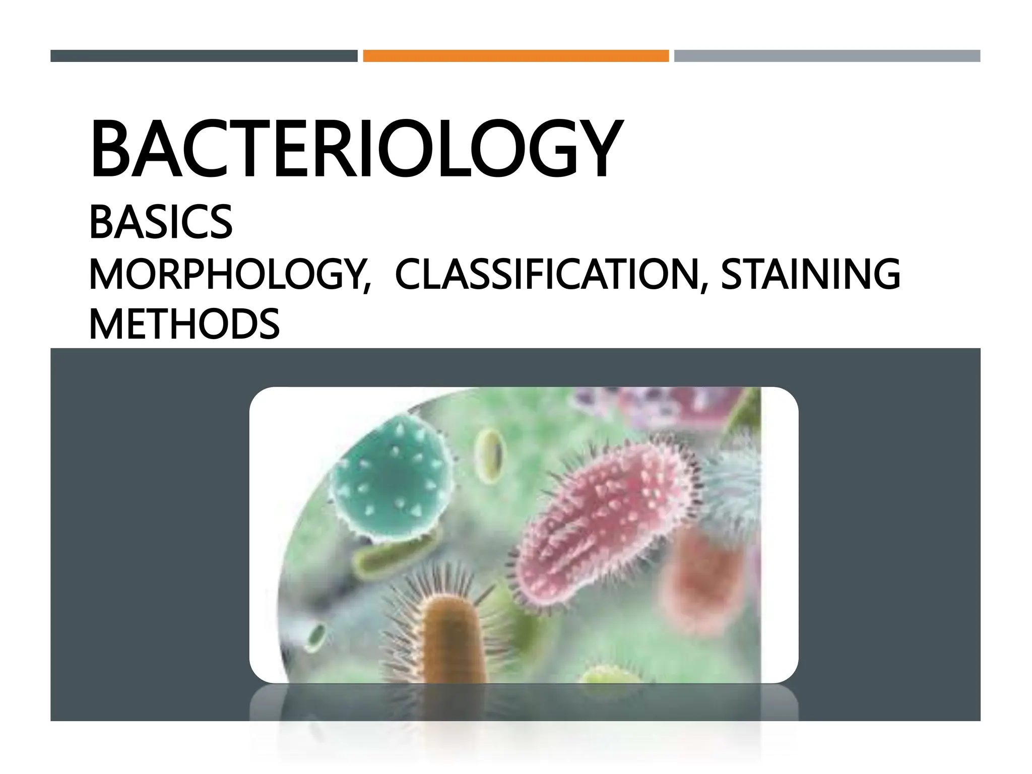 2- bacteriology.pptx a long descriptive information about bacteria | PPT