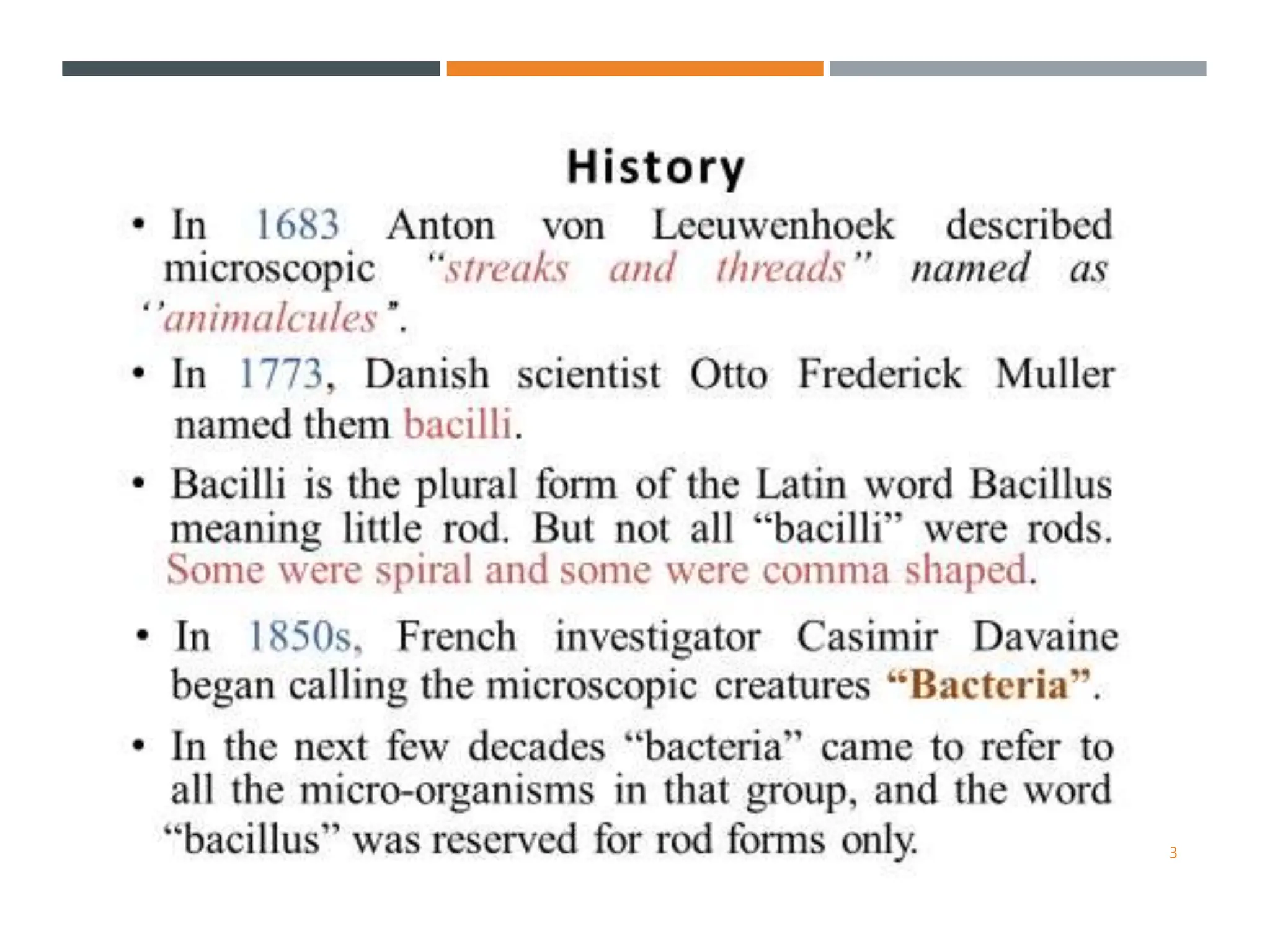 2- bacteriology.pptx a long descriptive information about bacteria | PPTX