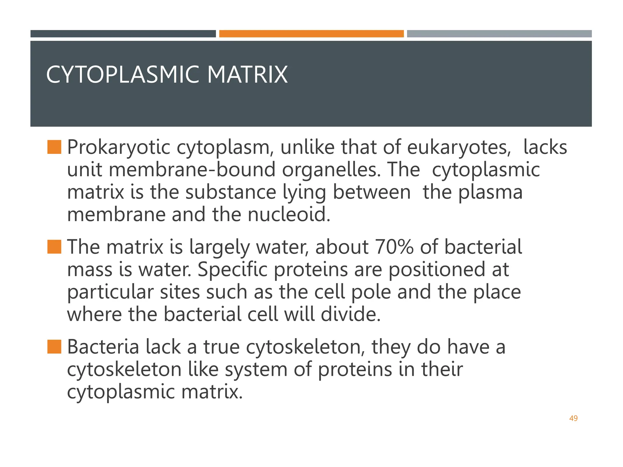 2- bacteriology.pptx a long descriptive information about bacteria | PPTX