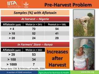 "Aflasafe: a case study for aflatoxin reduction in crops " | PPTX