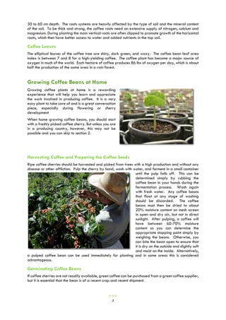 MICROSOFT WORD EXERCISE - FORMATTING AND INSERTING PICTURE | PDF