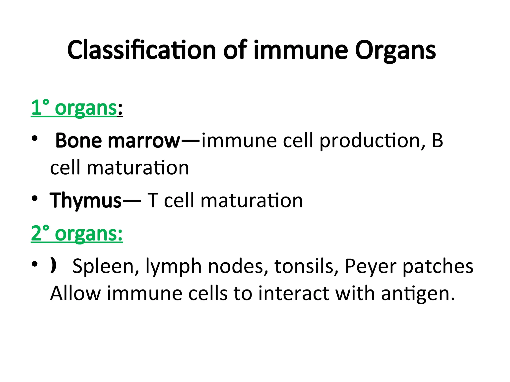 2-Basic Organs and Tissues of the Immune System.ppt