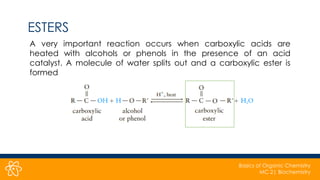 Basics of Organic Chemistry, Biochemistry | PDF
