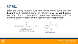 Basics of Organic Chemistry, Biochemistry | PDF