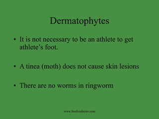 2 B Dermatophytes | PPT