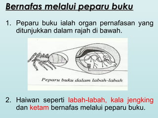 2 bernafas | PPT