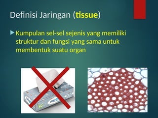 2 - Biokimia sel & jaringan_ed 2024.pptx