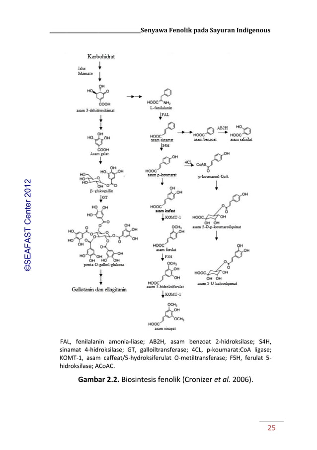 2 biosintesis | PDF
