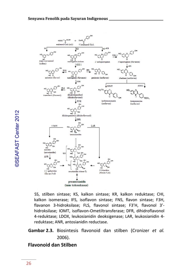 2 biosintesis | PDF