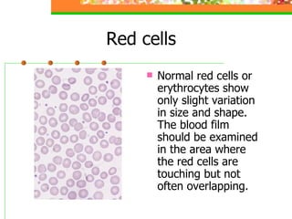 2. blood cells morphology | PPT