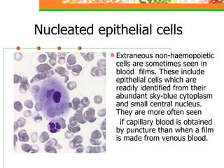 2. blood cells morphology | PPT