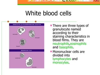 2. blood cells morphology | PPT