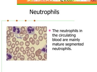 2. blood cells morphology | PPT
