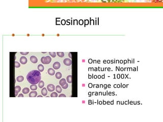 2. blood cells morphology | PPT
