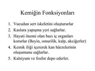 Anatomi Omurlar | PPT