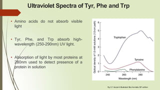 Properties of Amino Acids.pptx