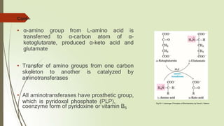 Properties of Amino Acids.pptx