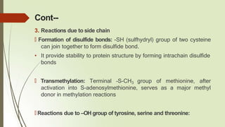 Properties of Amino Acids.pptx