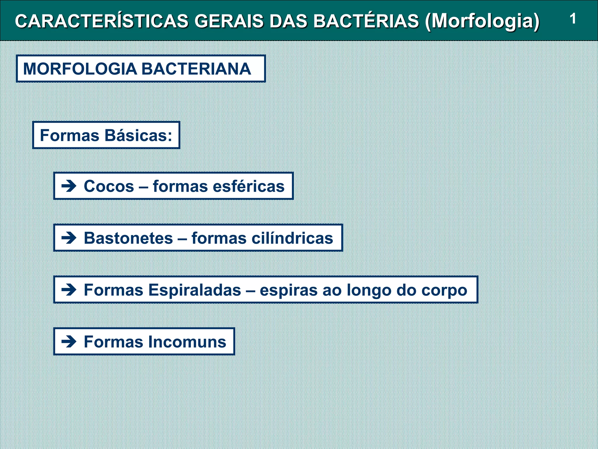 2 caracteristicas gerais das bacterias -morfologia- 01-2017 -1 | PDF