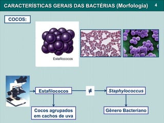 2 caracteristicas gerais das bacterias -morfologia- 01-2017 -1 | PDF