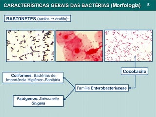 2 caracteristicas gerais das bacterias -morfologia- 01-2017 -1 | PDF