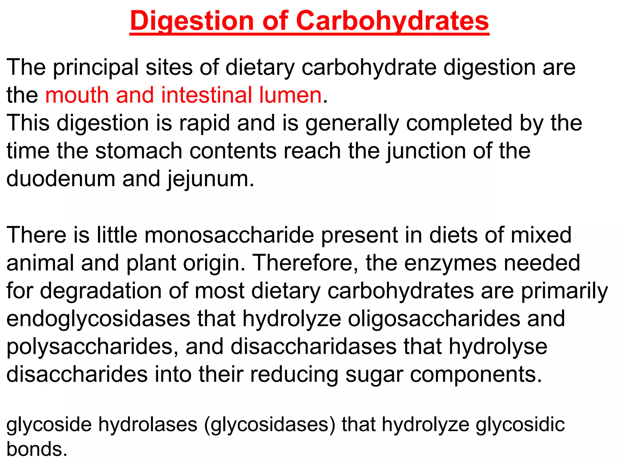 Carbohydrate.ppt