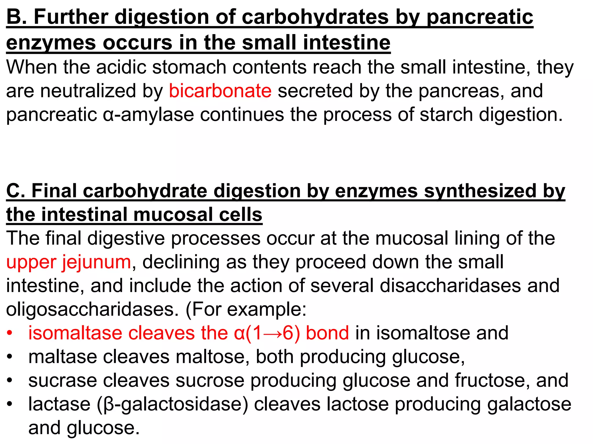Carbohydrate.ppt