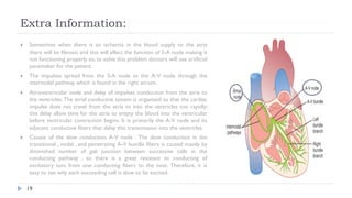 Cardiac Electrical Activity from CV block lecture | PPT