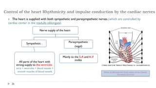 Cardiac Electrical Activity from CV block lecture | PDF