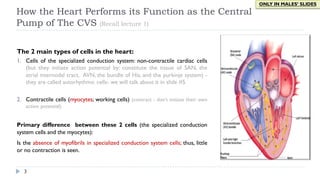 Cardiac Electrical Activity from CV block lecture | PPT