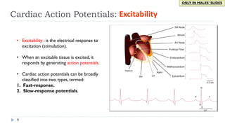 Cardiac Electrical Activity from CV block lecture | PPT