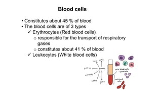 2 - Cardiovascular system - BLOOD systems.pdf
