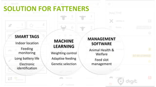 FIWARE Global Summit - Digitanimal - Digital Transformation in Meat Production | PDF ...