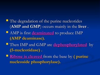 2-Catabolism_of_Purine_Nucleotides.ppt s | PPT