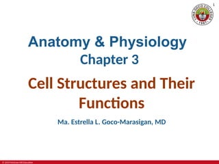2-Cell-Structures-and-Their-Functions-Powerpoint.ppt