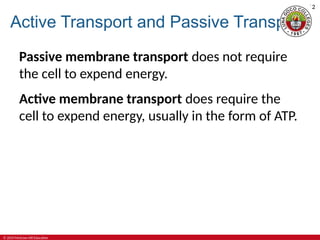 2-Cell-Structures-and-Their-Functions-Powerpoint.ppt