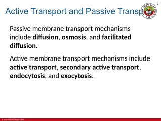 2-Cell-Structures-and-Their-Functions-Powerpoint.ppt