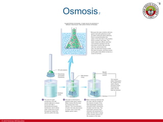 2-Cell-Structures-and-Their-Functions-Powerpoint.ppt