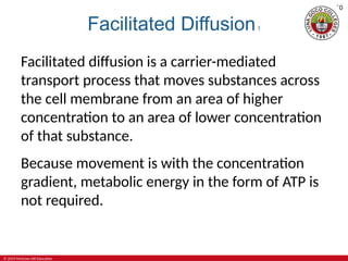 2-Cell-Structures-and-Their-Functions-Powerpoint.ppt