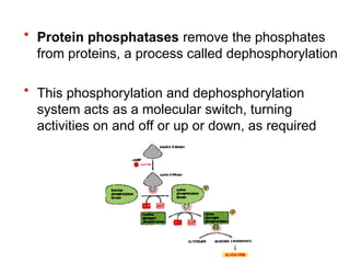 CELL TO CELL COMMUNICATION - PRESENTATION | PPT