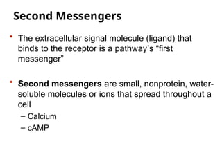 CELL TO CELL COMMUNICATION - PRESENTATION | PPT