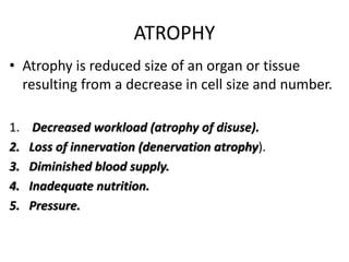 2-__cell_injury_-_adaptation.pptx