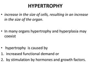 2-__cell_injury_-_adaptation.pptx