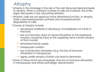 2- CELL INJURY L1 Medical.ppt. ... | PPT