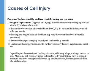 2- CELL INJURY L1 Medical.ppt. ... | PPT